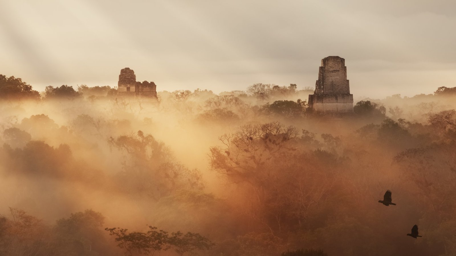 Mysteries of Tikal and the Mayan Civilization | Terra Guatemala, local ...
